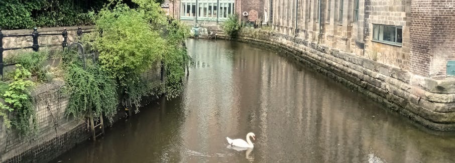 Visit Ouseburn Valley | Ouseburn Trust